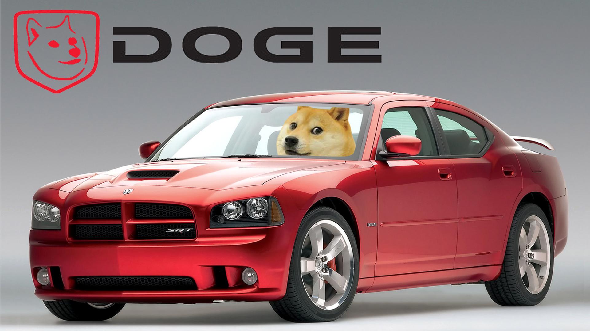 Il vero cane nascosto dietro a Doge – Il blog di Jacopo Ranieri