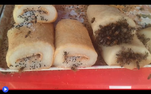 Il dolce giapponese con le api sopra - Il blog di Jacopo Ranieri