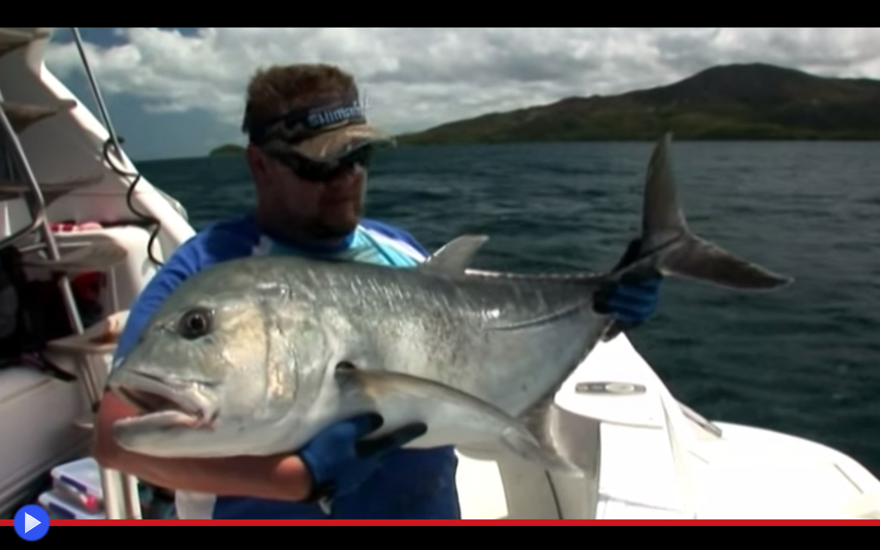 La fame del carango gigante, piranha dell'Indopacifico - Il blog di ...