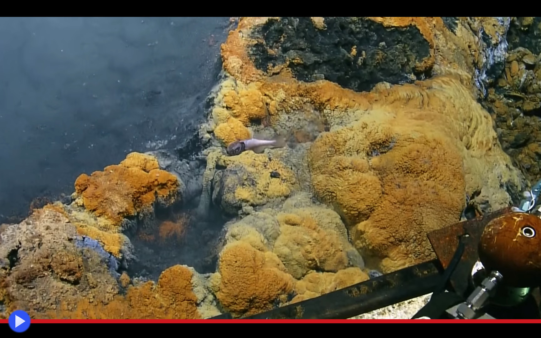 Avventura subacquea sul ciglio di una salamoia gigante – Il blog di ...