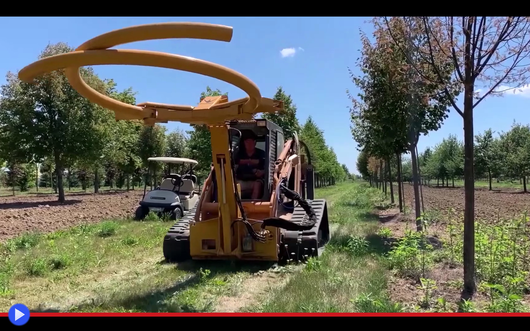 L'ipnotica tecnologia del macchinario che confeziona gli alberi di ...