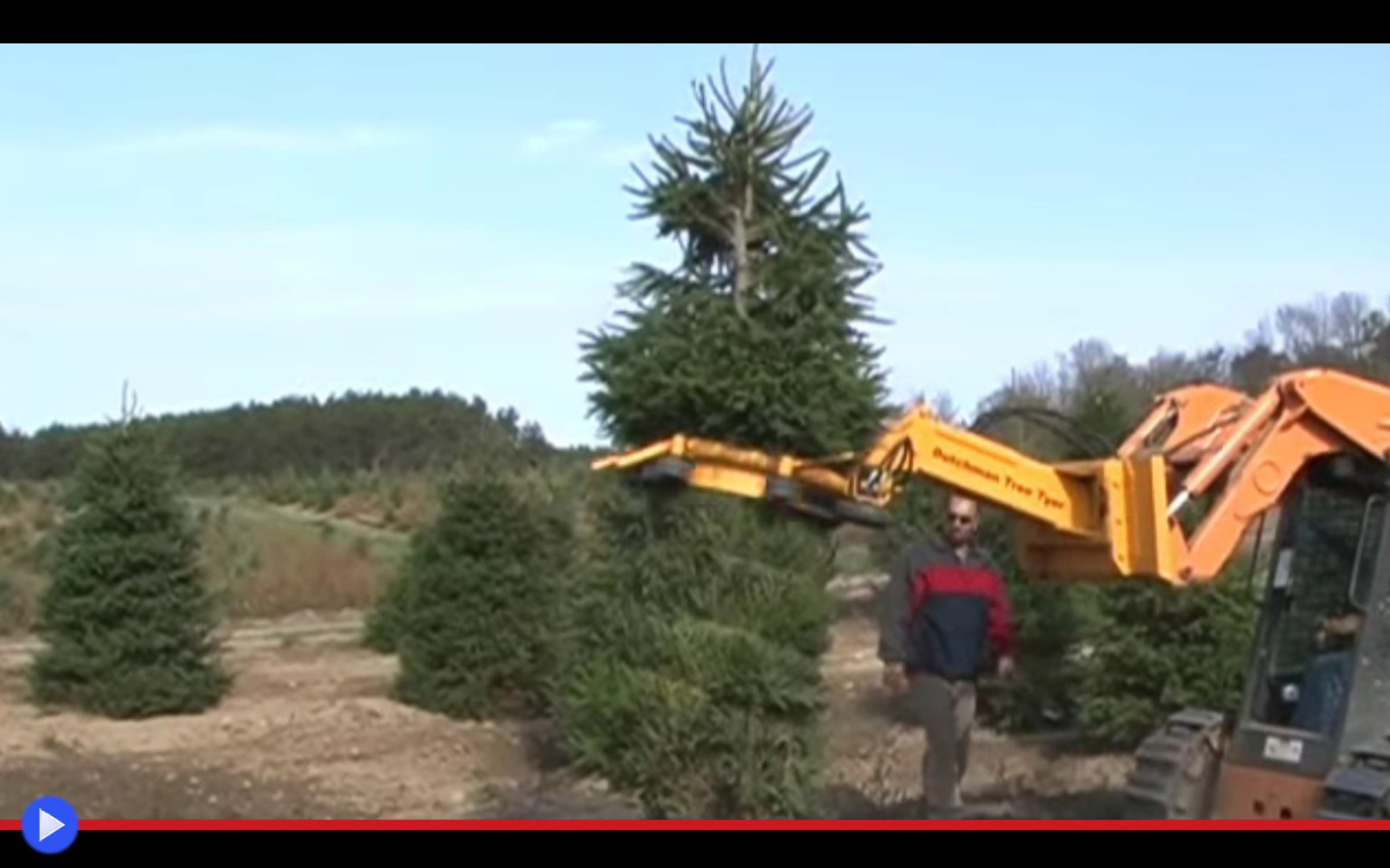L'ipnotica tecnologia del macchinario che confeziona gli alberi di ...
