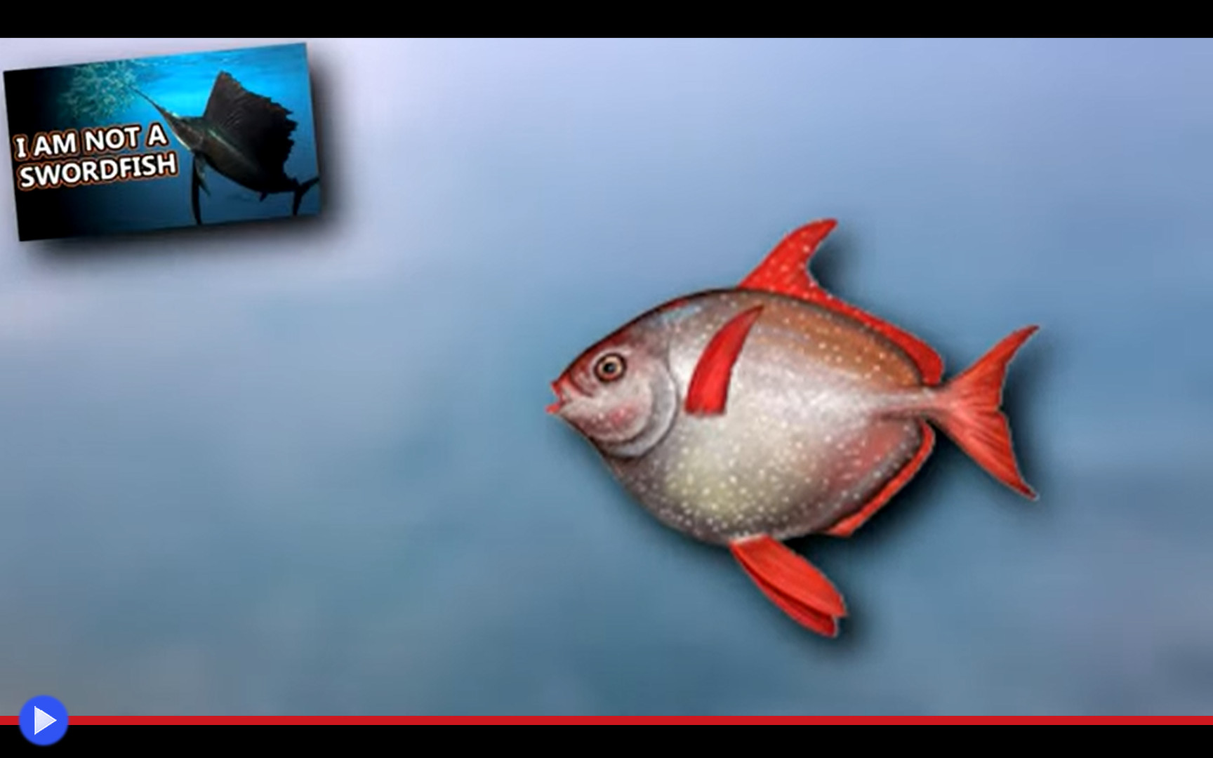 Si è spiaggiato il pesce tondo, che incarnava la tiepidità del mondo ...