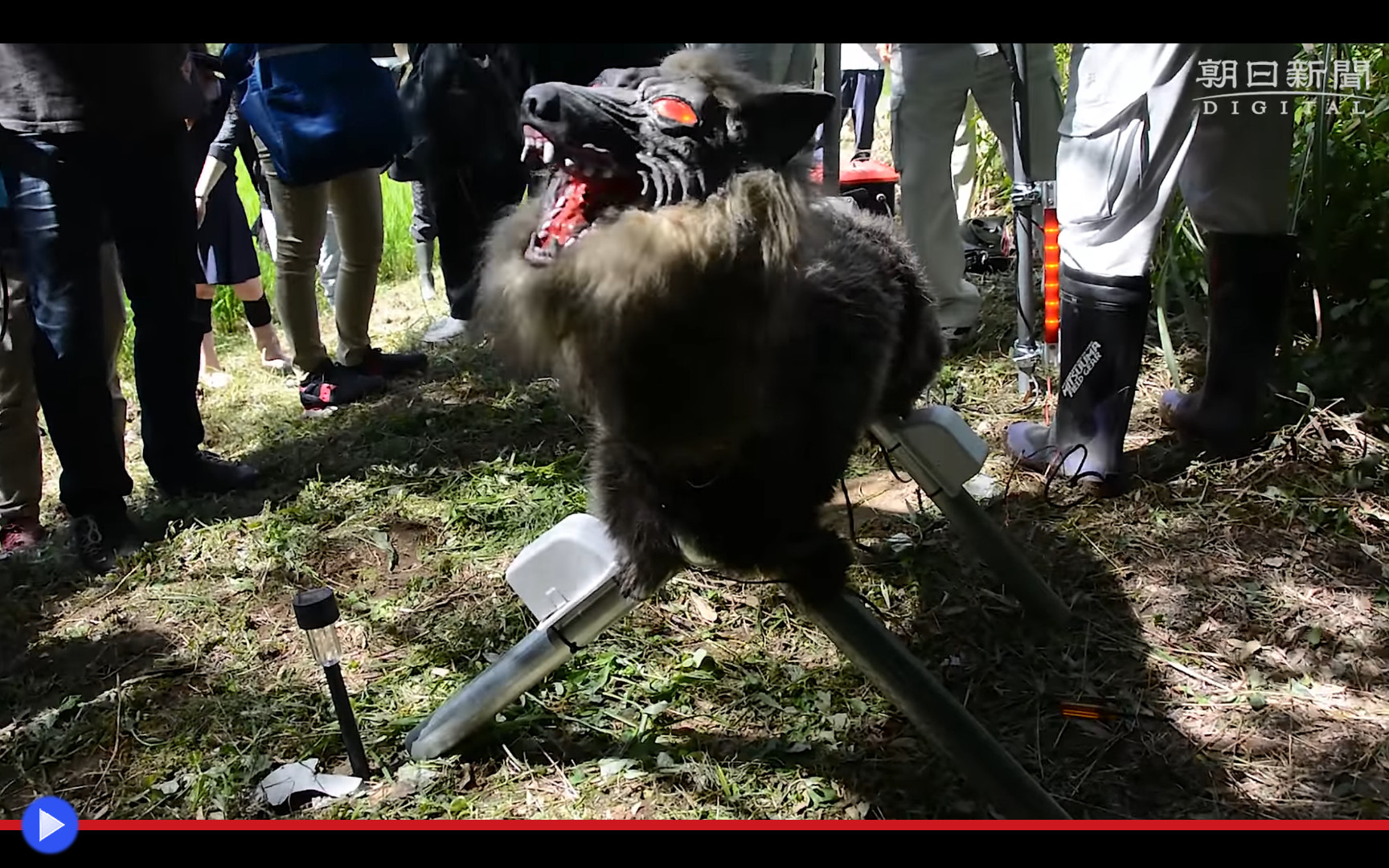 L'orribile richiamo dei lupi d'acciaio dagli occhi di bragia - Il blog ...