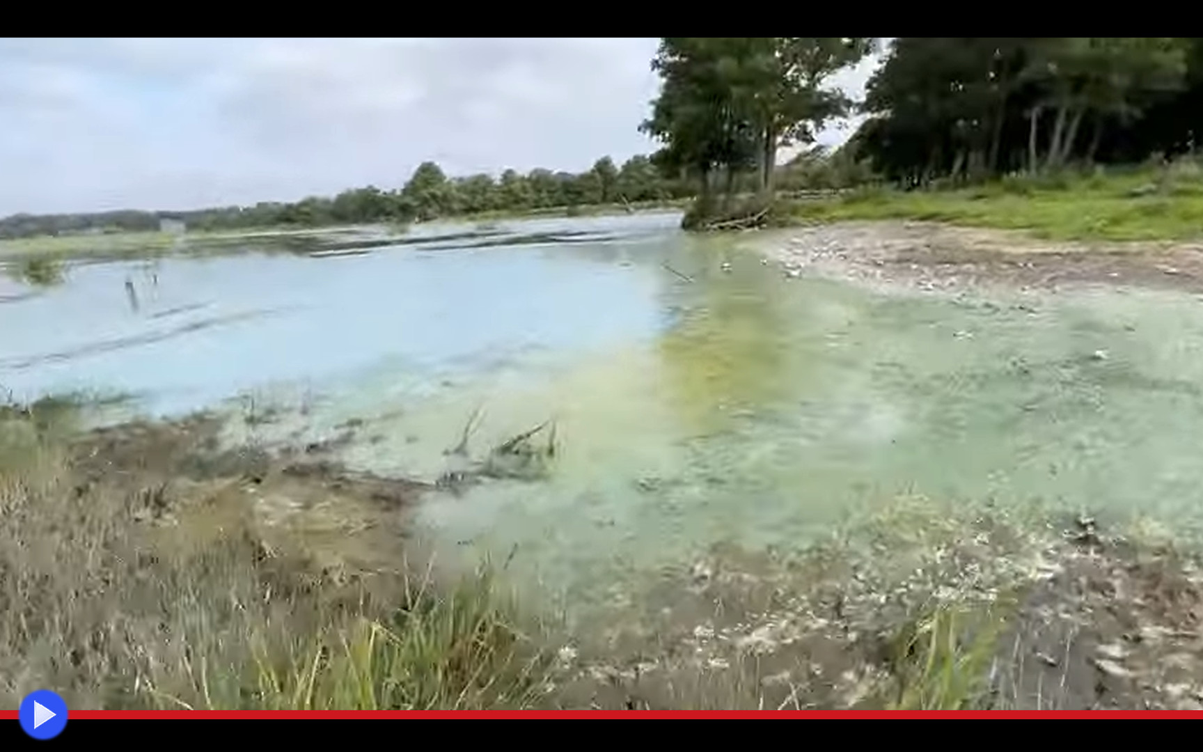 Il lago Neagh, declino di un ecosistema ricoperto da 30 cm di ...