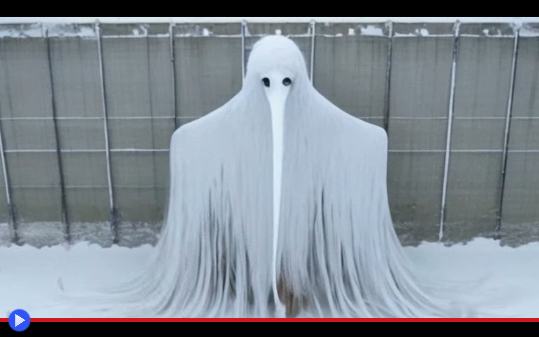 L’erosione dei memetici creativi e l’incombente sagoma dell’Opium Bird ...