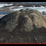 L’airone combattente che ha saputo ereditare l’illusione ottica della ...