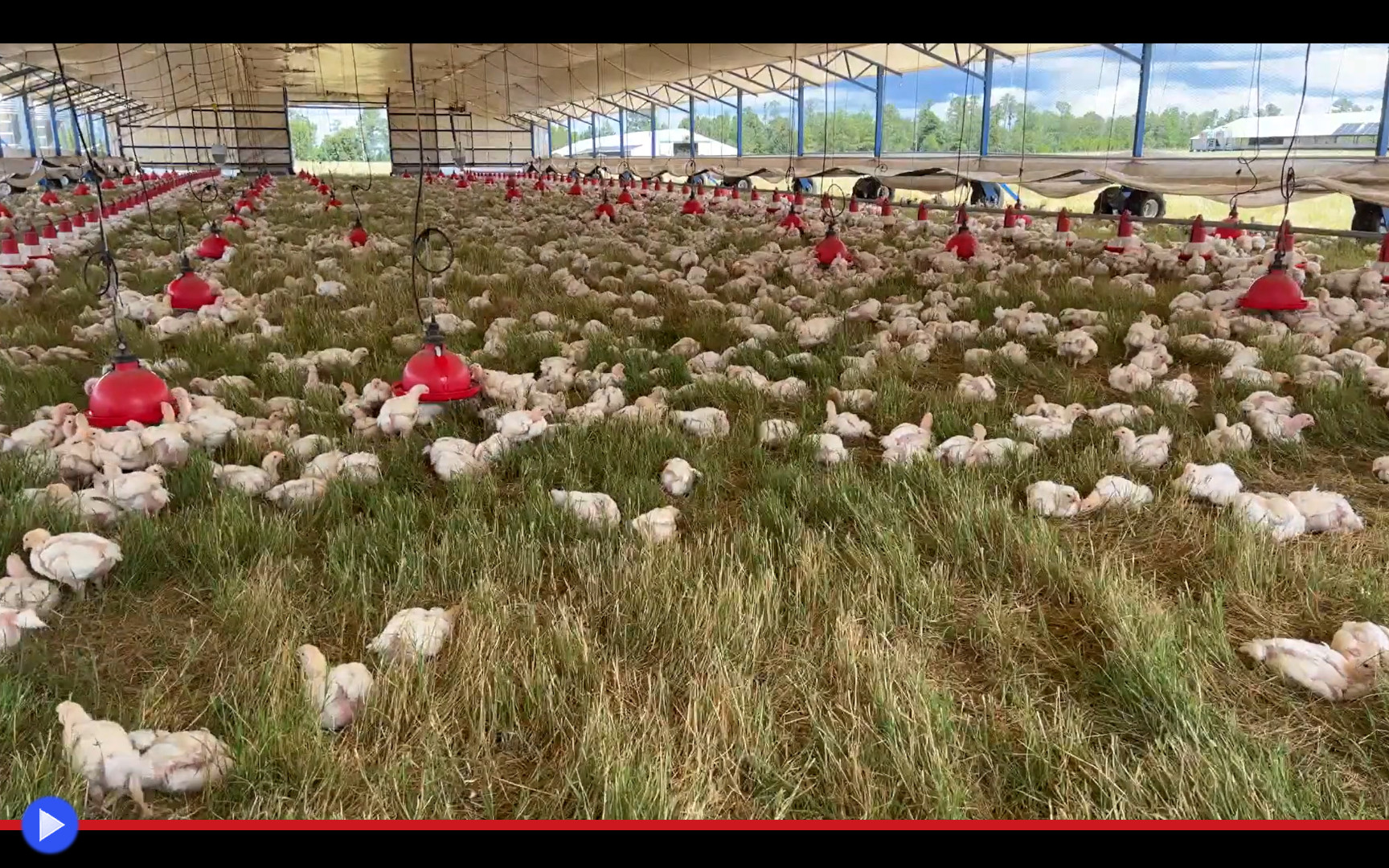 L'arca robotica solare, un grande passo avanti nell'allevamento del ...